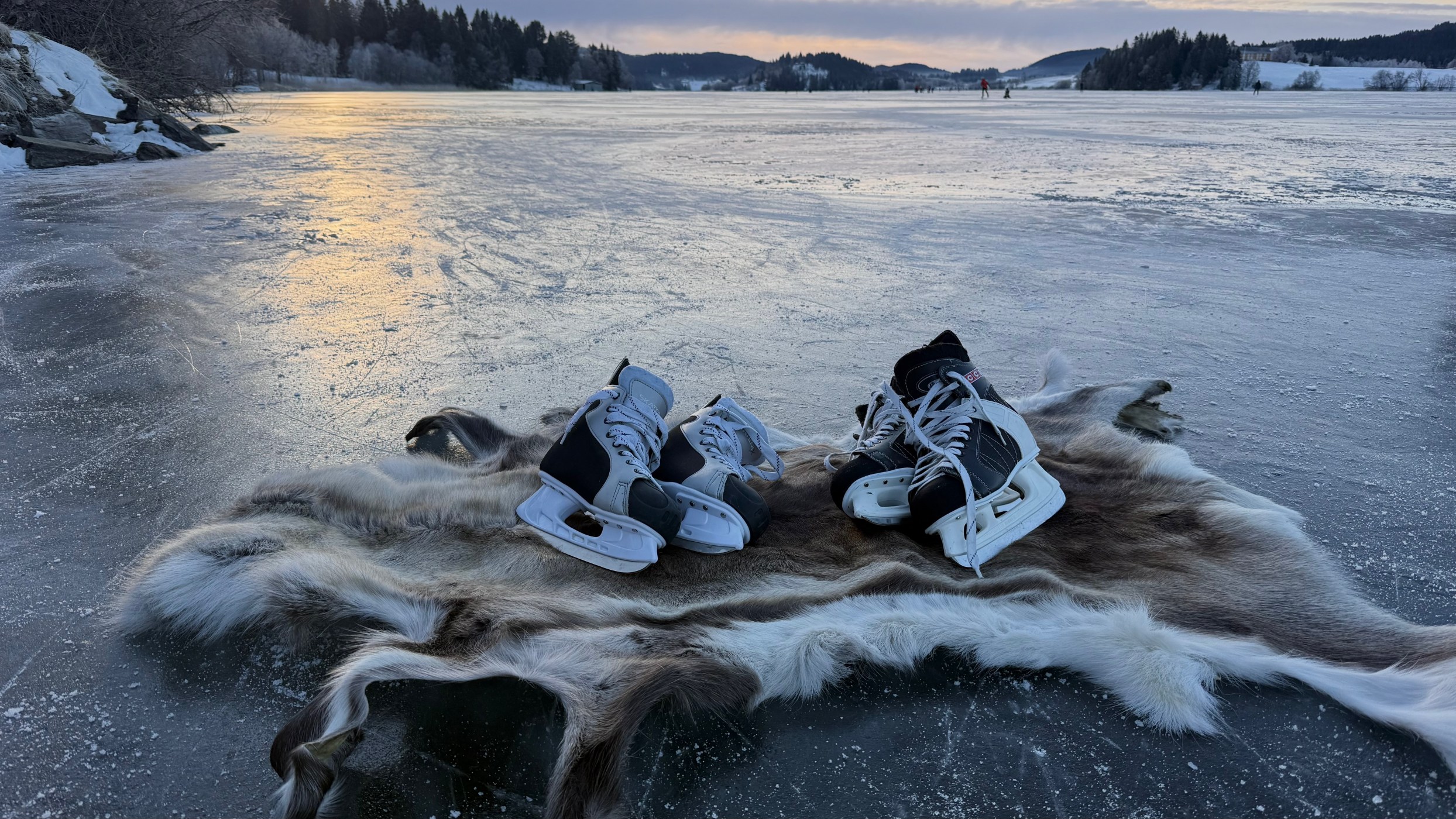 Snowshoeing in Bymarka | Trondheim Kajakk